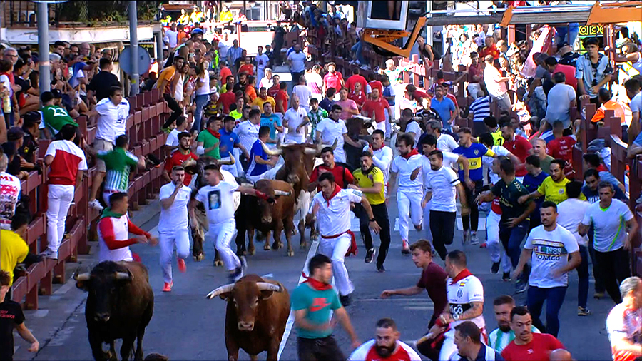 Chispa y "rock and roll" en el séptimo encierro de Sanse, con toros de ...