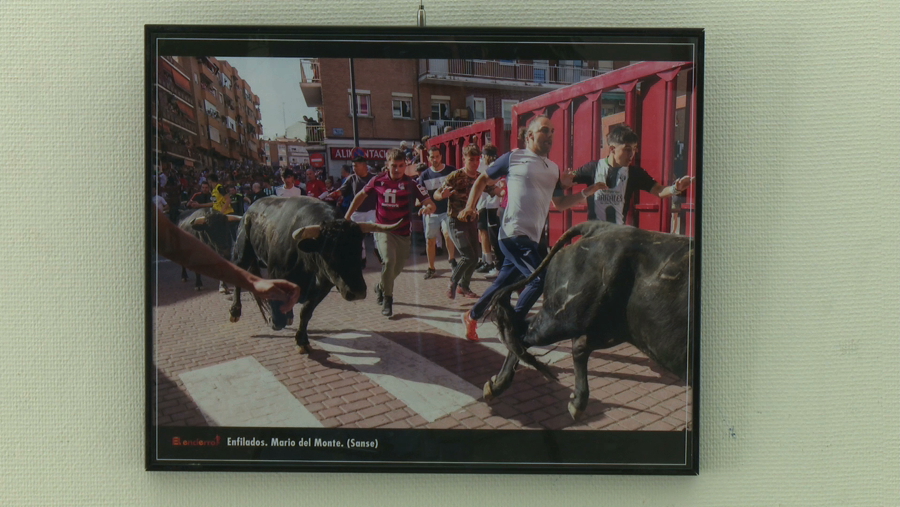 Ya se pueden disfrutar las mejores imágenes del XXIV Concurso de ...